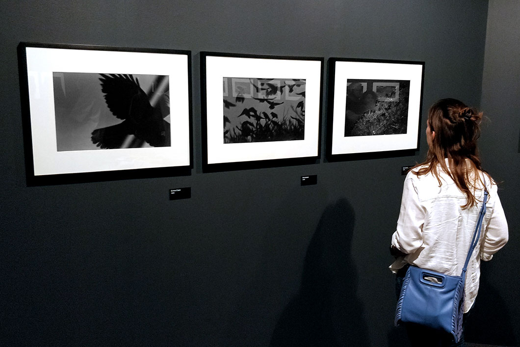 MASAHISA FUKASE – RAVENS – MADRID – OPENING | Guillotine